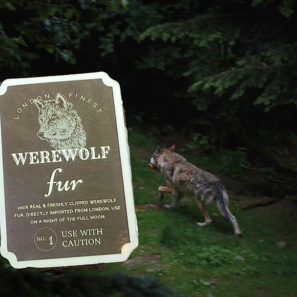 Hand Crafted | Other | Werewolf Fur Witchy Sorceress Supreme Potion ...